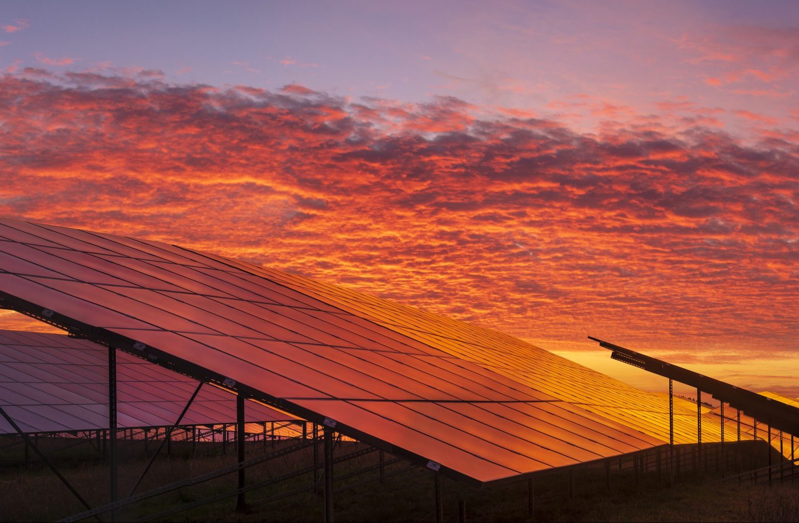 UKPN Distribution System Operator (DSO) - UKPN DSO